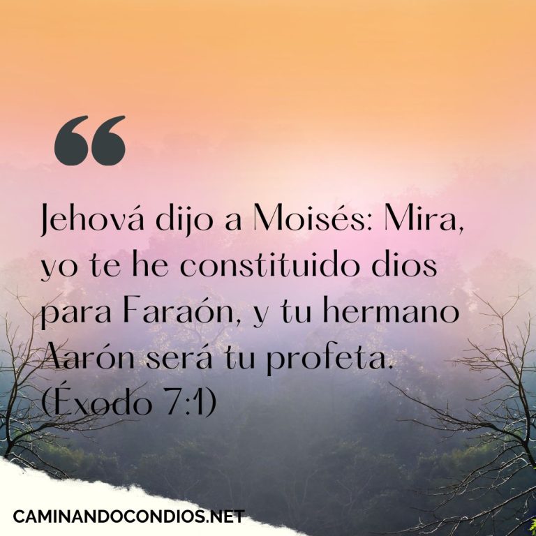 Devocional Diario – Caminando Con Dios – Recursos Cristianos Diarios